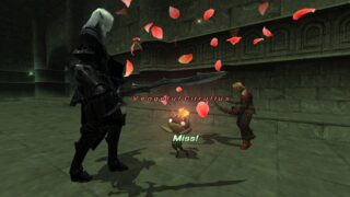 FF11 ステータスアイコンのタイマー表示・PTメンバーのTP表示 | うさねこ散歩